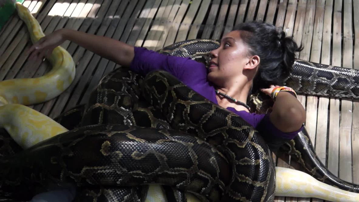 Burmese Python Squeeze